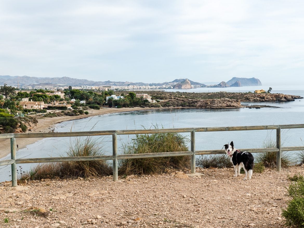Cuatro Calas en Águilas y Sendero los Cocedores | 2024